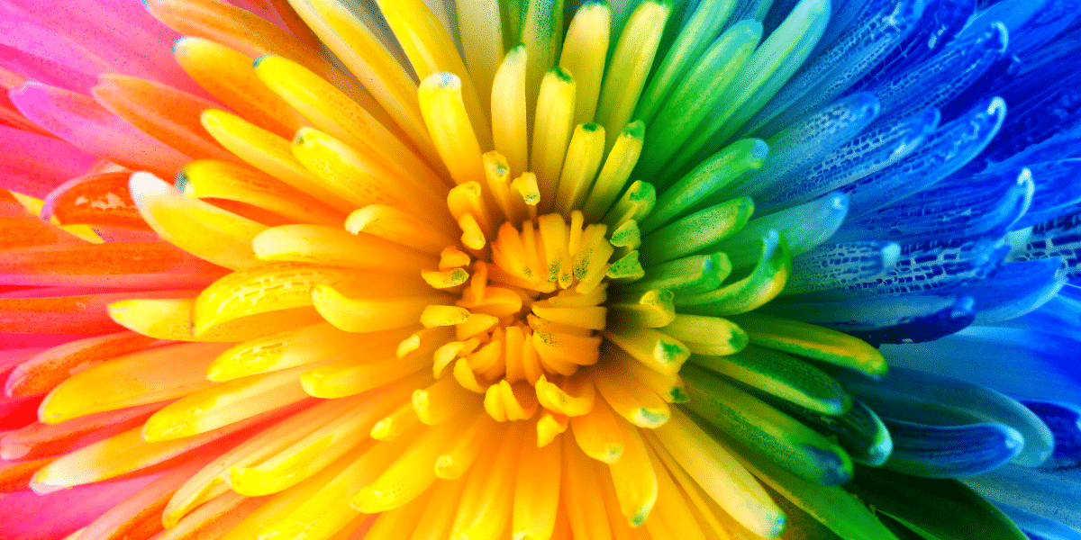 projectors - JVC Malaysia